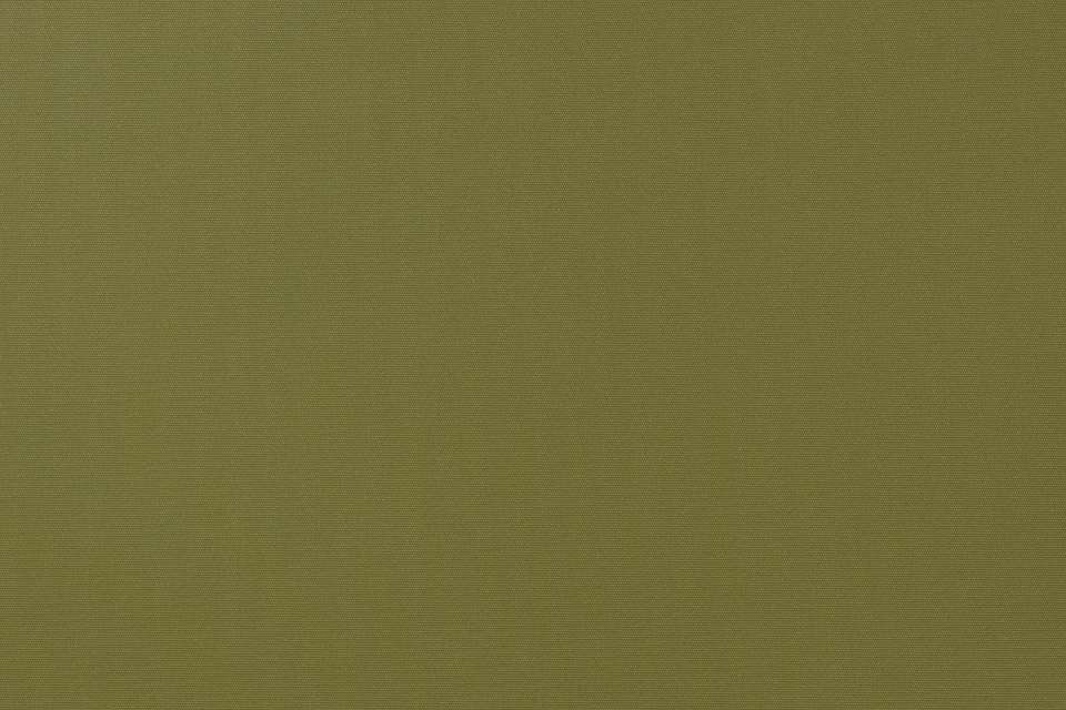 OFS - Touchstone Turtle